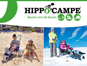 Kitsap County Hippocampe Project