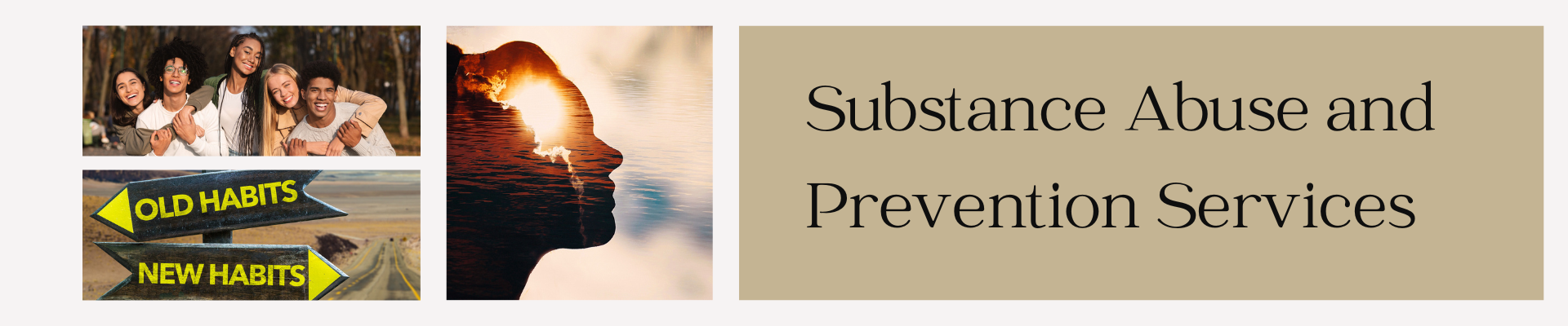 Substance Abuse and Prevention Services