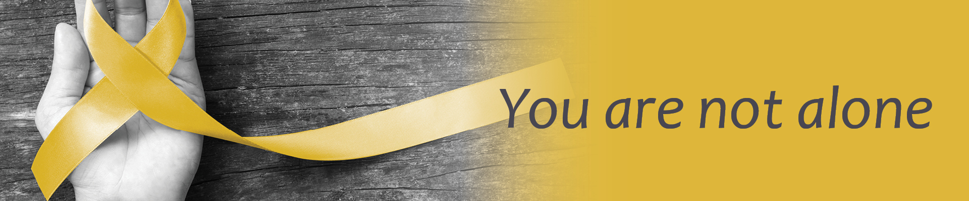 Kitsap County Suicide Prevention